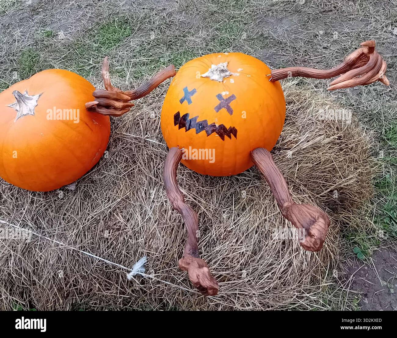Oleggio Castello NO, Italy Pumpkin Castle at Dal Pozzo Castle, event ...