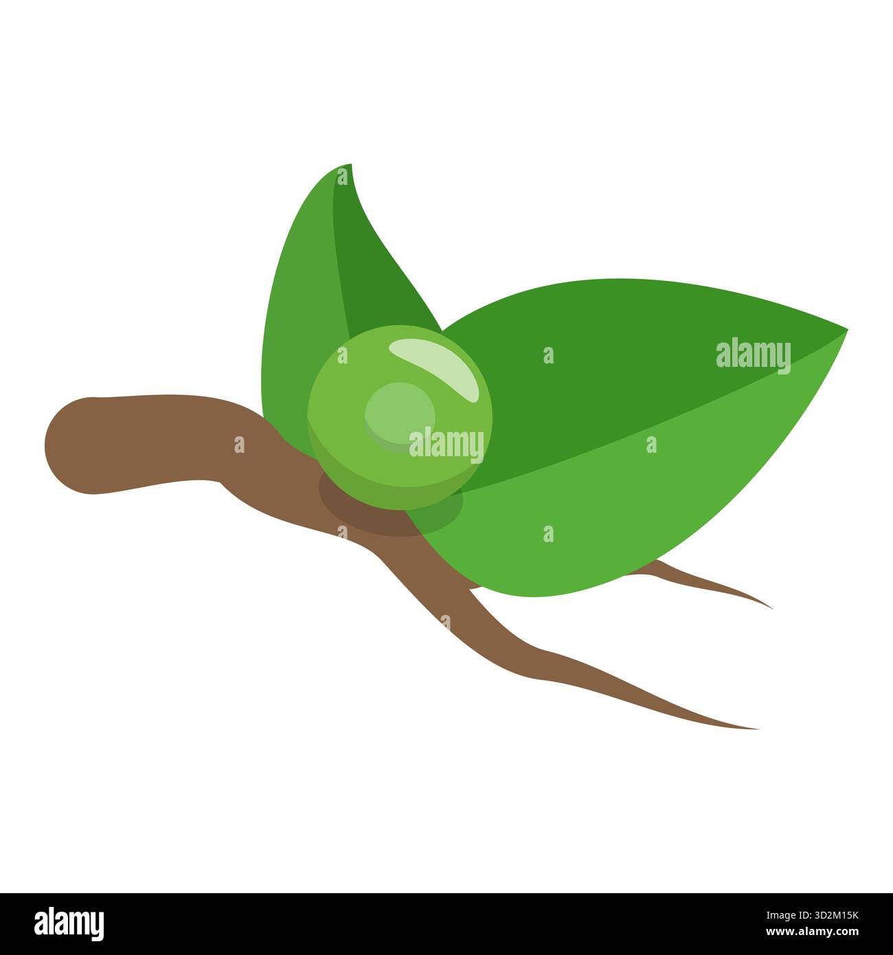 Butterfly and greenery Cut Out Stock Images & Pictures - Alamy