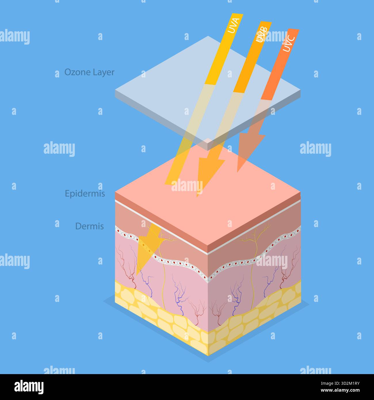 3D Isometric Flat Conceptual Illustration of UVA, UVB, UVC Rays ...