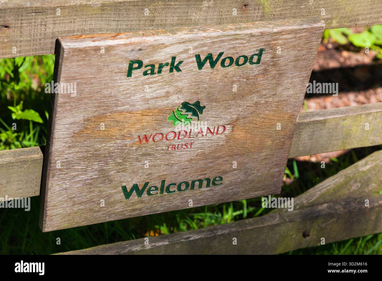 Woodland logo hi-res stock photography and images - Alamy