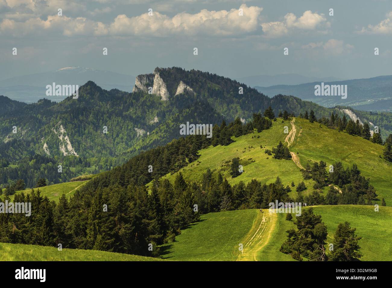 Green hills of Pieniny National Park and snowy Tatra Mountains in ...