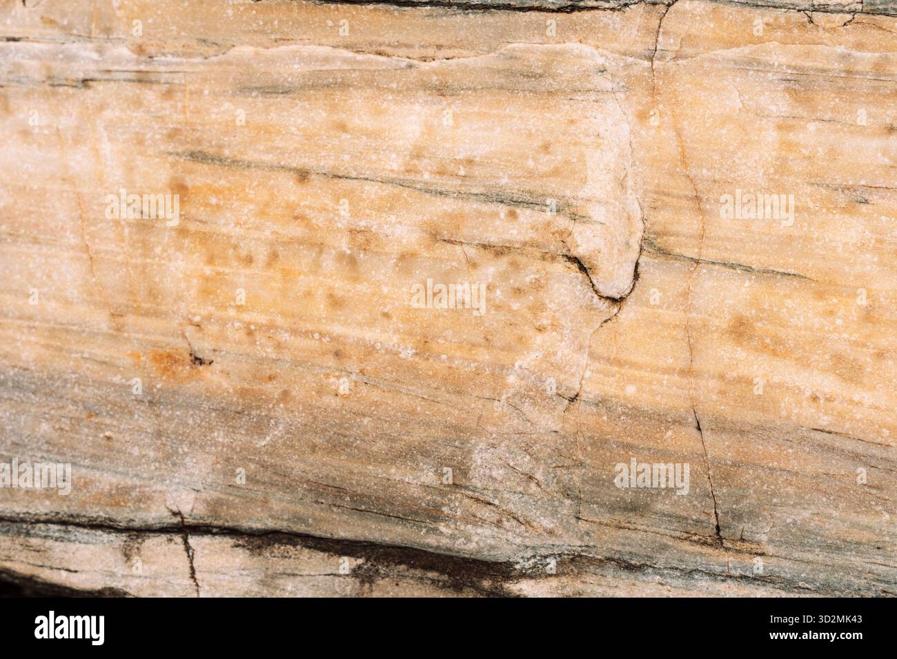Light banded stone surface with fine grains and subtle cracks Stock ...