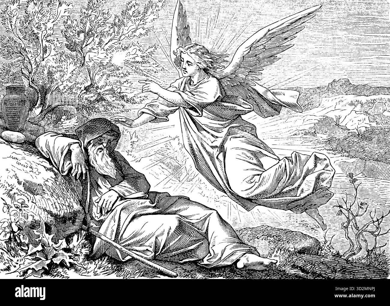 Angel dish Black and White Stock Photos & Images - Alamy