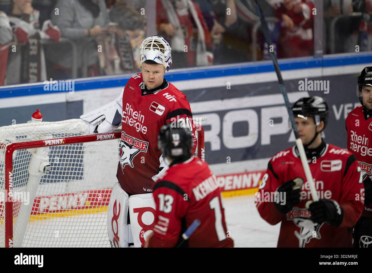 Janne Juvonen (K?lner Haie, Torwart, #30); PENNY DEL 1; K?lner Haie ...