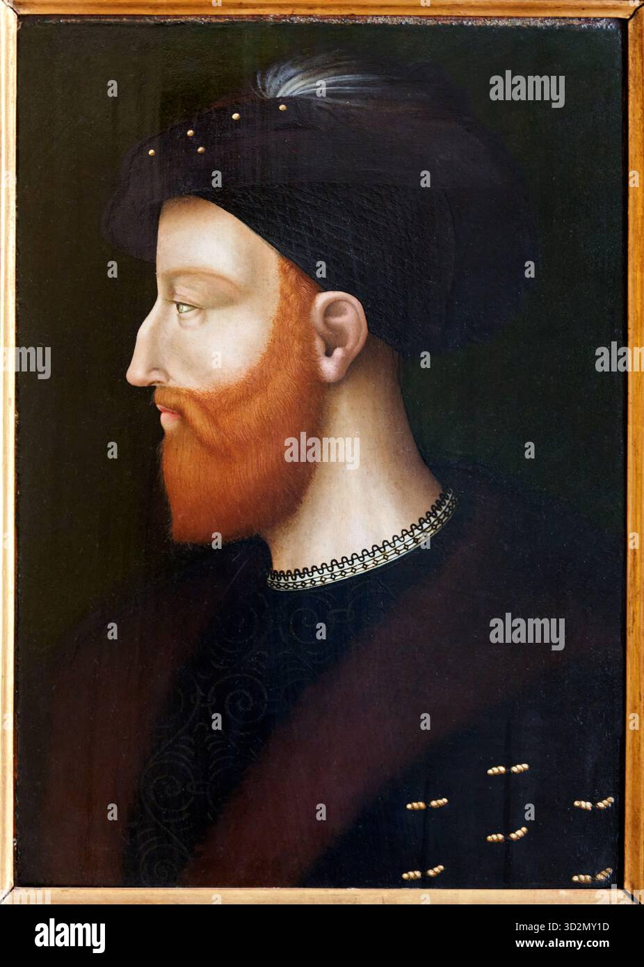 Leonardo da vinci museum in venice hi-res stock photography and images ...