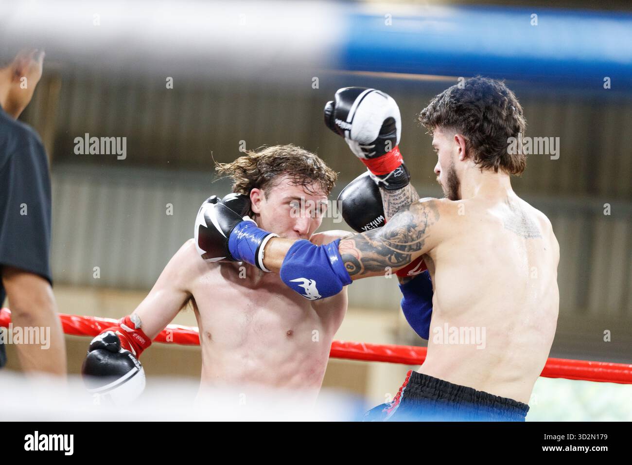 Renyn Eisel and Jai Schoonderwoerd fight at the Elite Fight Series ...