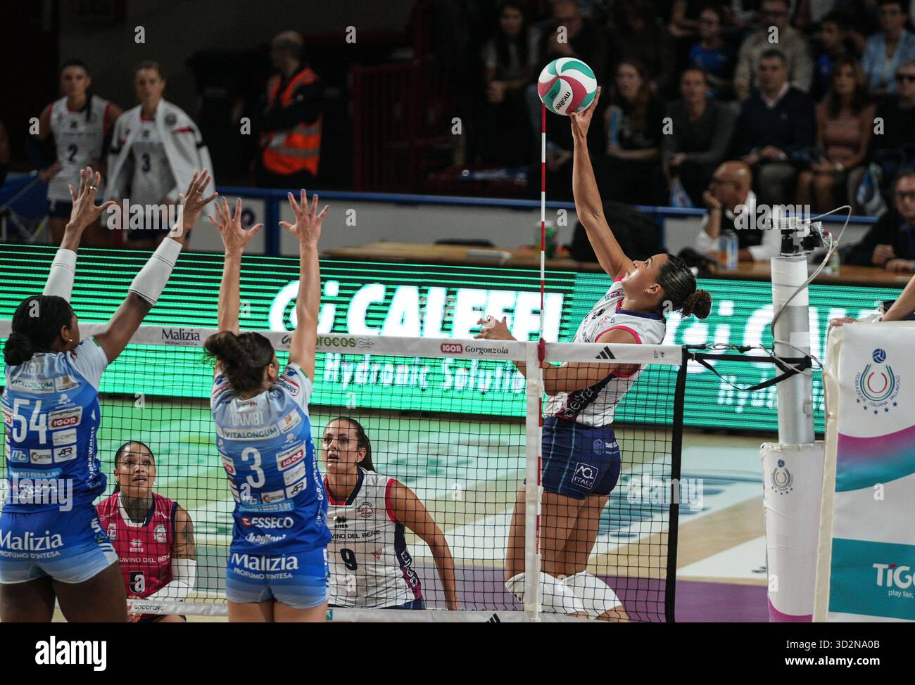 Brenda Castillo (Savino Del Bene Volley Scandicci) during Igor ...