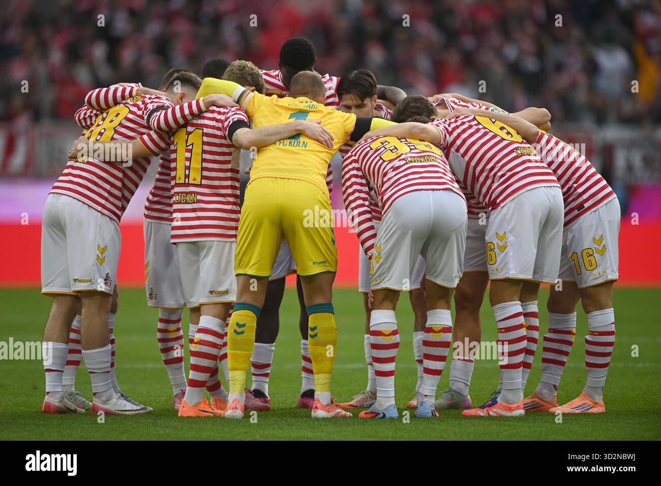 FC Cologne team huddle, motivation, conspiracy, Bundesliga football ...