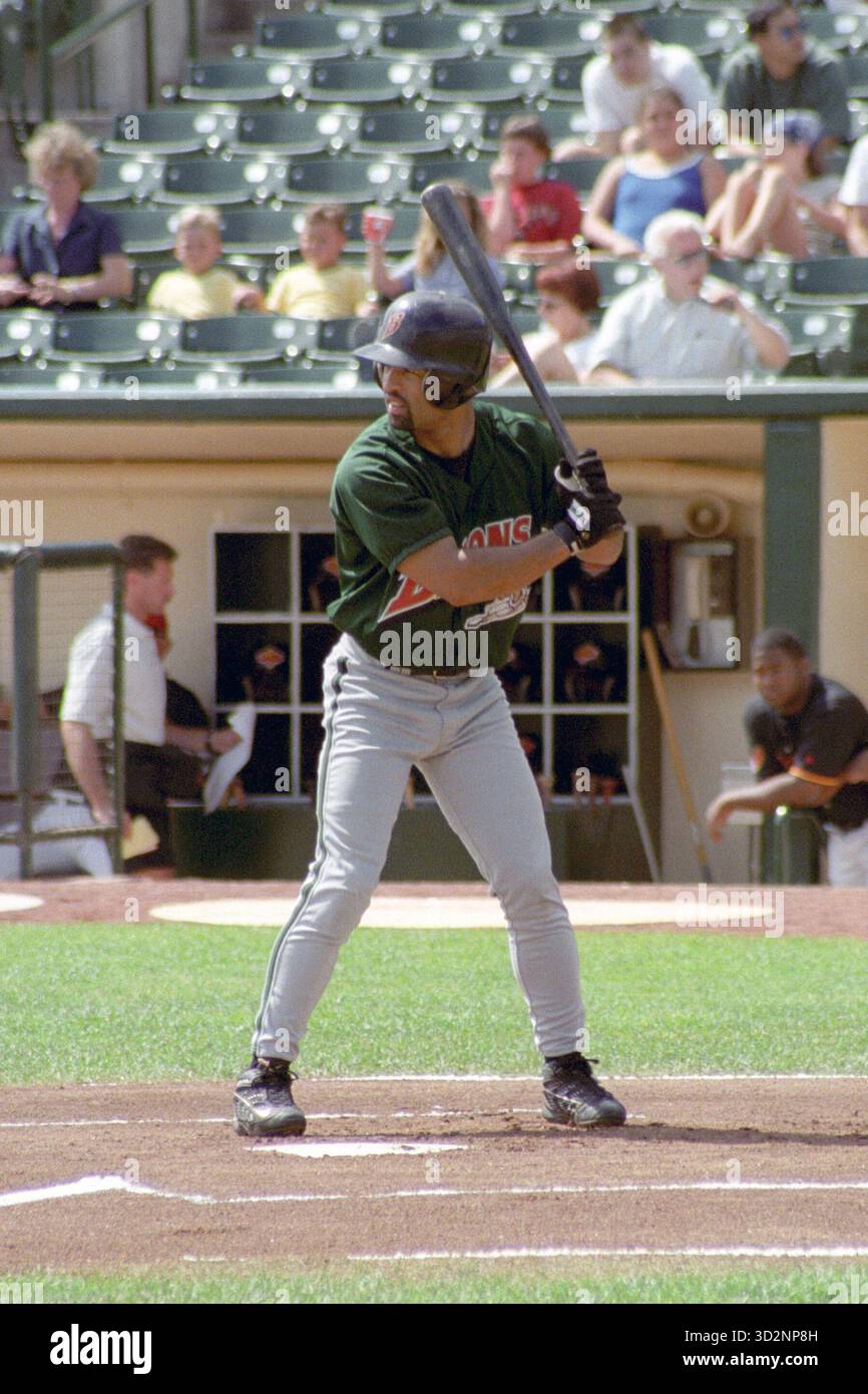 Buffalo Bisons Dave Roberts bats during an MiLB International League ...