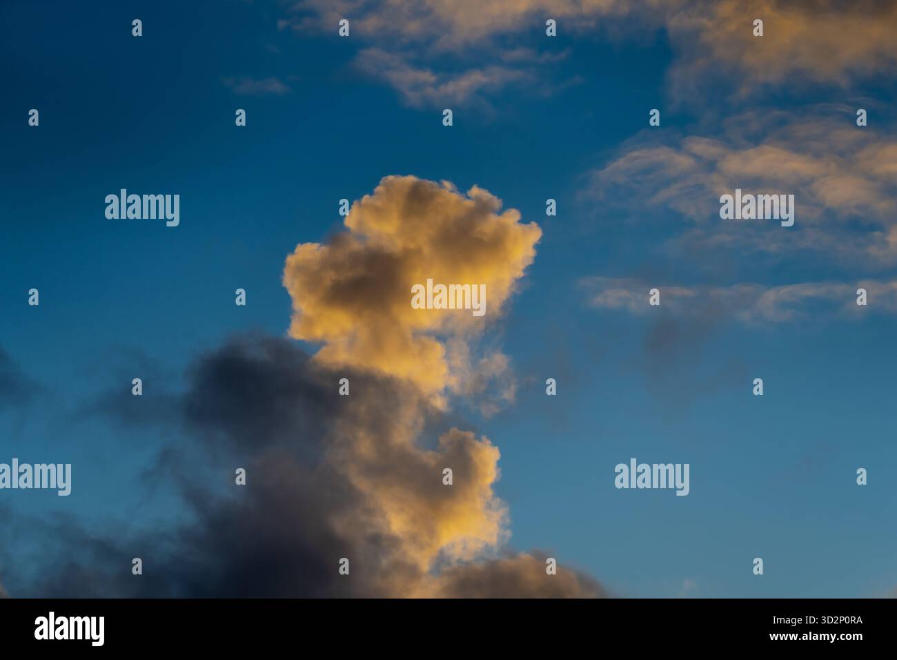Dynamic cumulus cloud rising vertically in colorful evening sky with ...