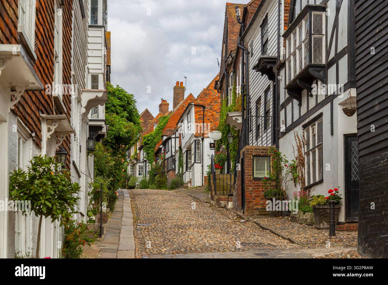 Rye In England