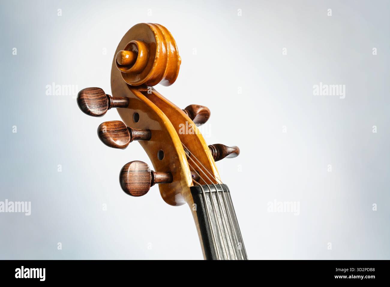 Rare five stringed instrument hi-res stock photography and images - Alamy
