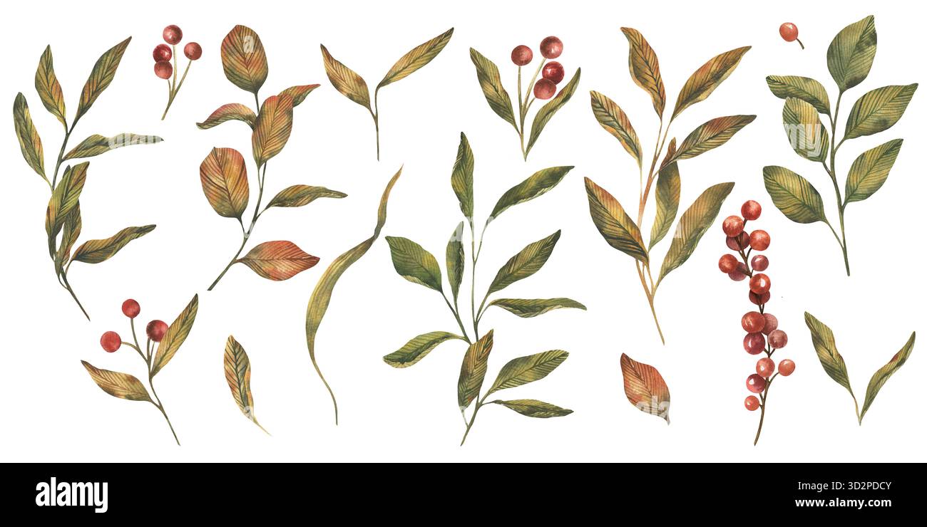 Hand drawn botanical berries and leaves. watercolor clipart set with ...
