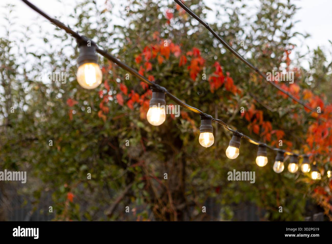 String lights cast warm hi-res stock photography and images - Alamy