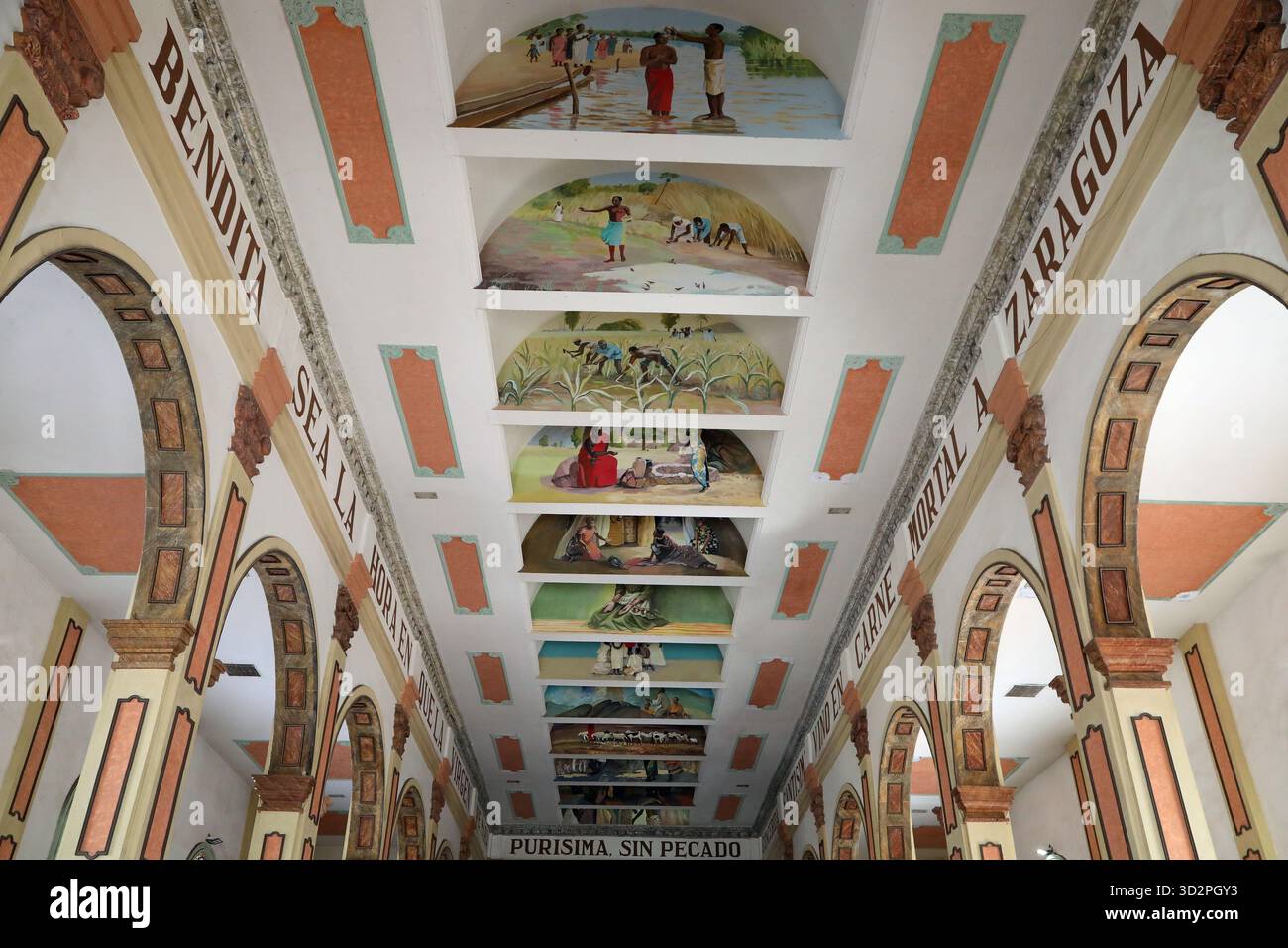 Painted ceiling of Saint James and Our Lady of the Pillar Cathedral at ...