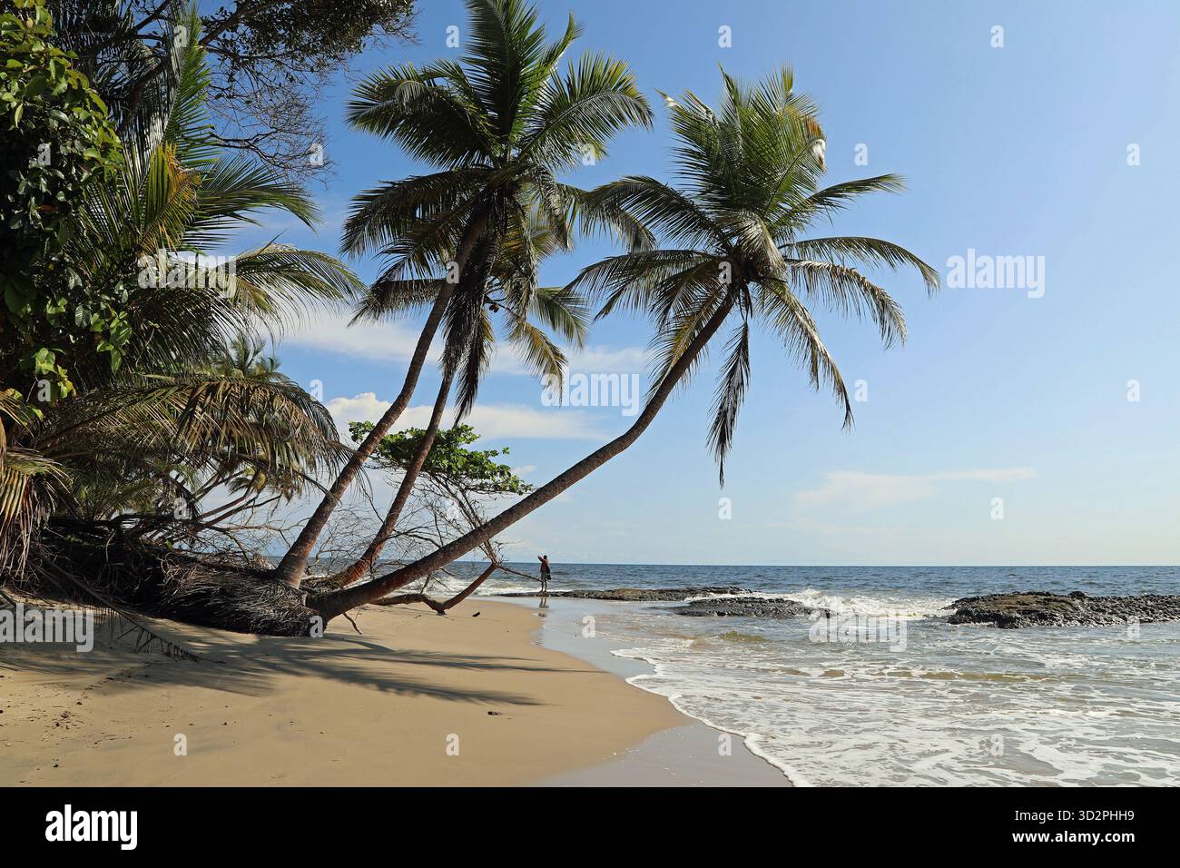 Punta Mbonda beach on the coast of mainland Equatorial Guinea Stock ...