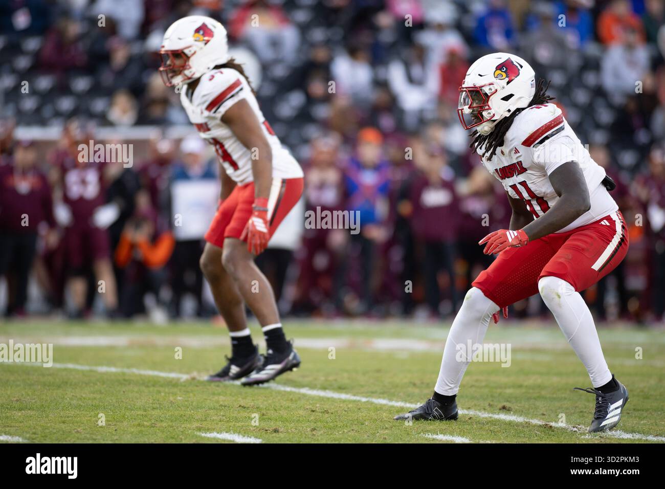 November 1, 2025: Louisville Cardinals linebacker T.J. Capers (11 ...