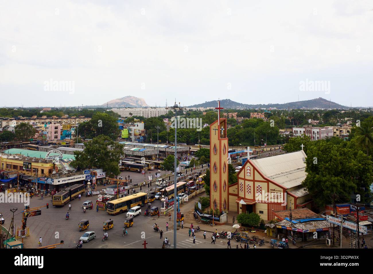 Stand density hi-res stock photography and images - Alamy