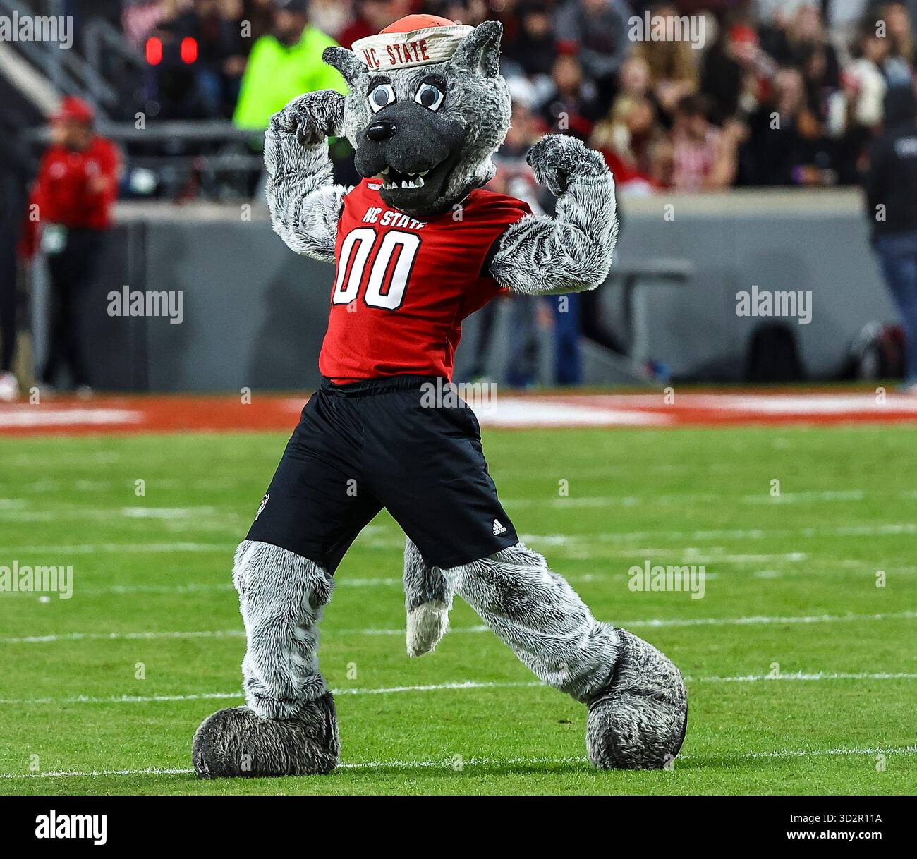 November 1, 2025: NC State mascot. NCAA football game between Georgia ...