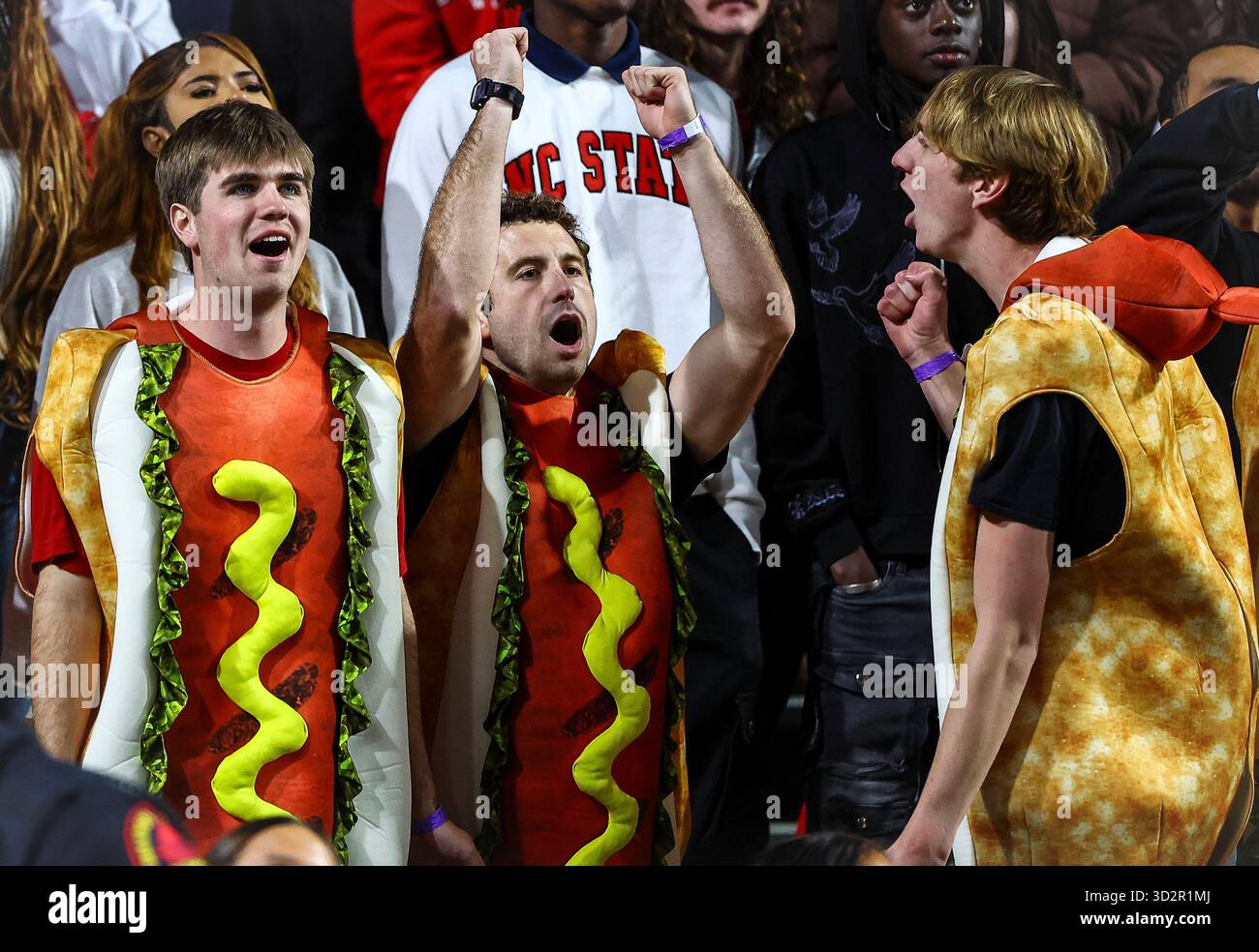 November 1, 2025: NC State fans. NCAA football game between Georgia ...