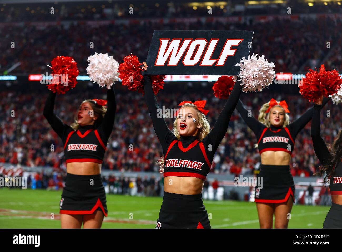 November 1, 2025: NC State cheerleaders. NCAA football game between ...