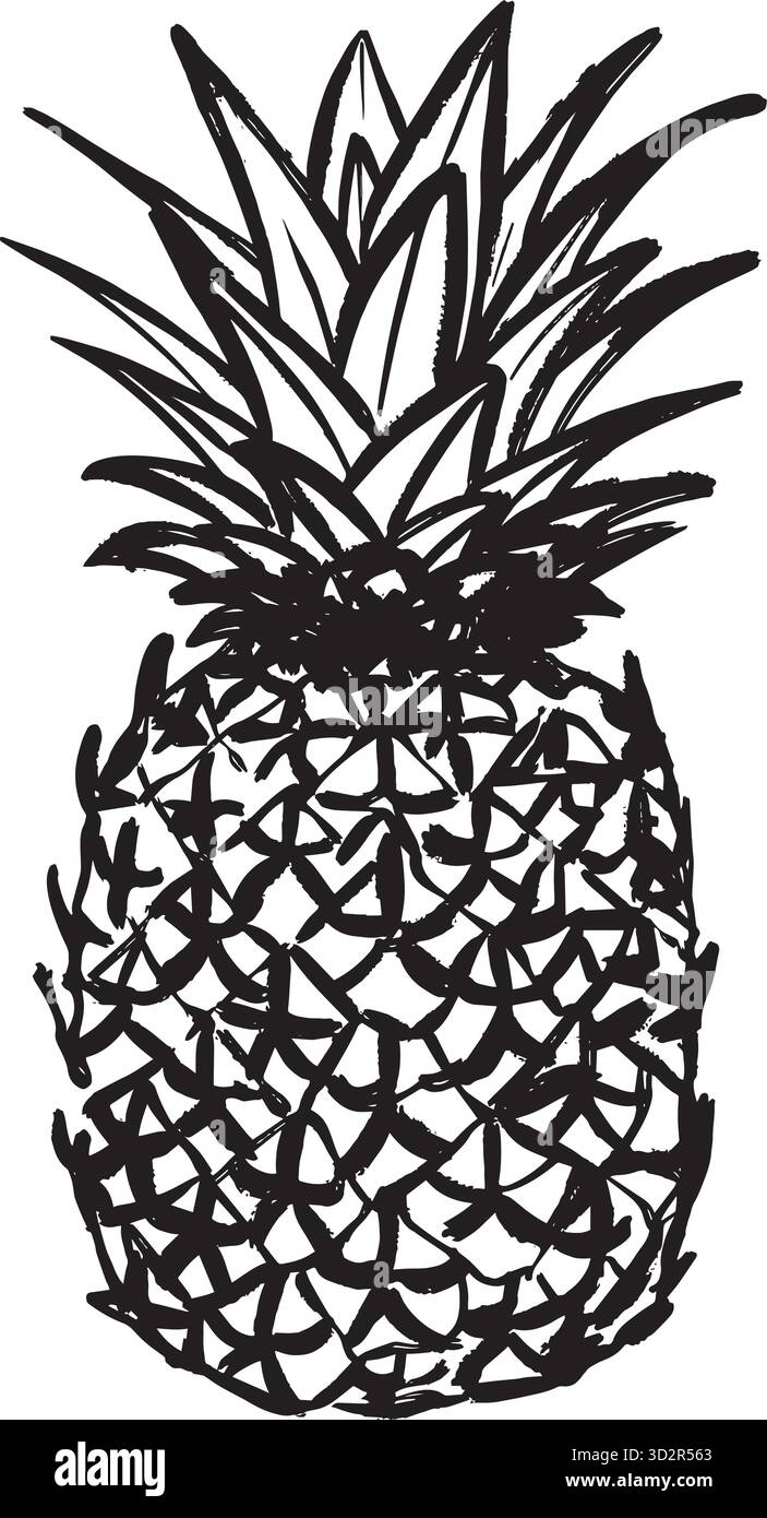 Stylized tropical pineapple with textured surface, Handdrawn pineapple ...