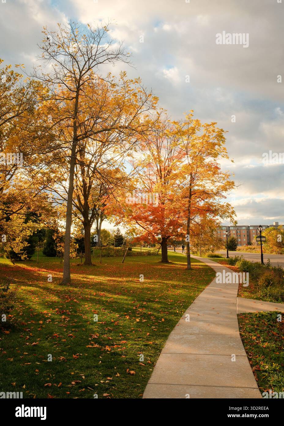 Autumn color at Richardson Olmsted Campus, Buffalo, New York Stock ...
