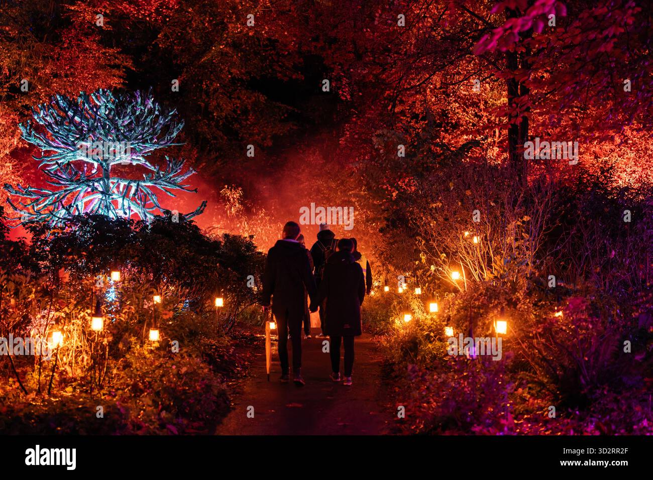 02 November 2025, Baden-Württemberg, Ludwigsburg: Visitors walk past numerous lights on the ...