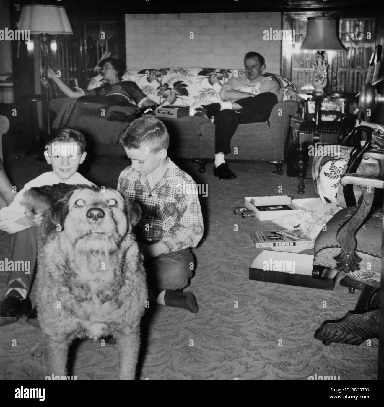 Dog led Black and White Stock Photos & Images - Alamy