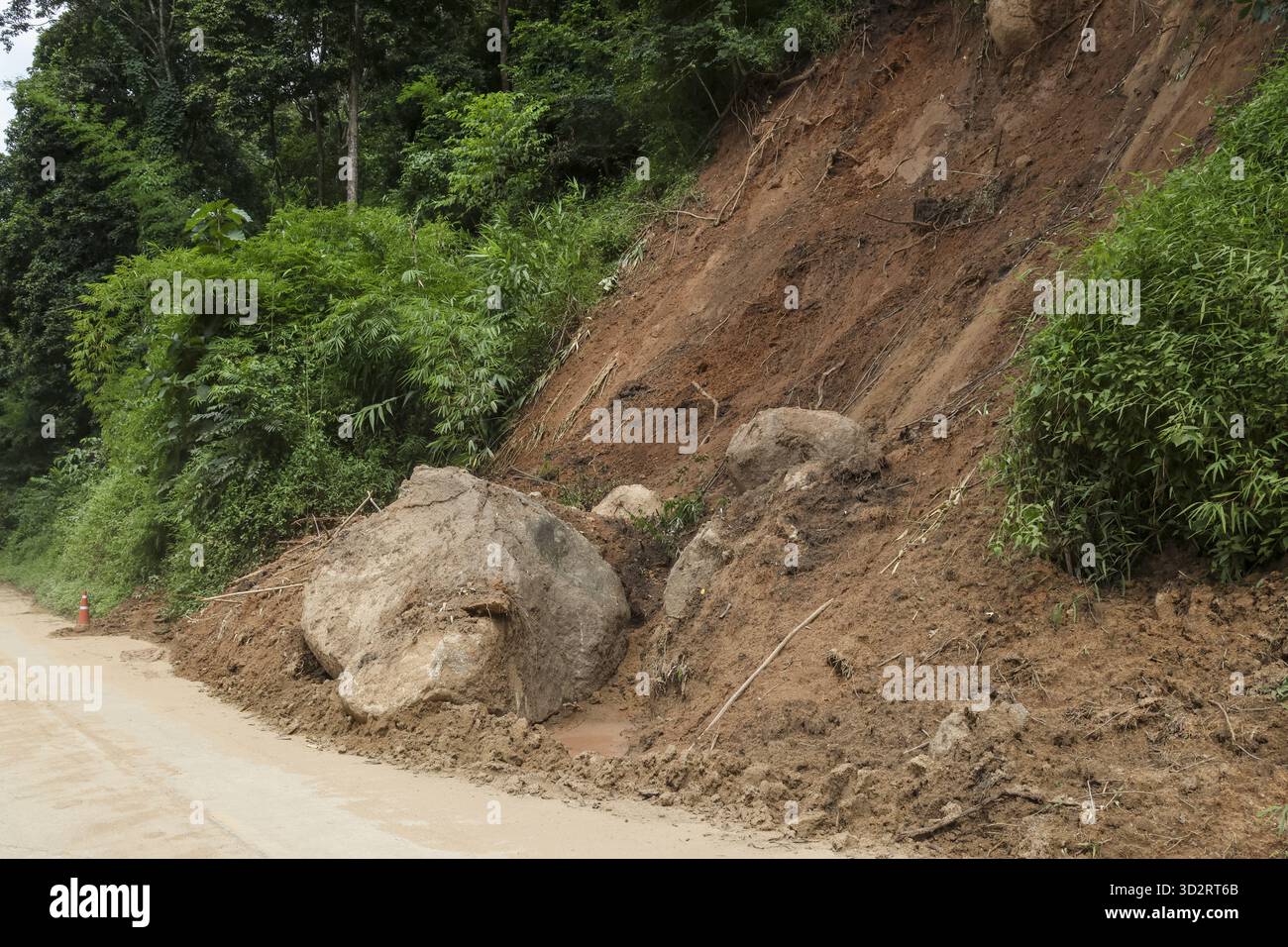 Massive landslide of mud and rock blocks dirt road at base of forested ...