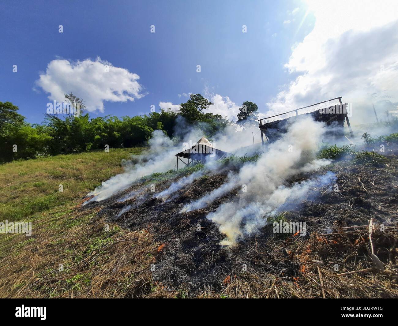 Controlled burn creates smoke plumes over hillside with vegetation ...