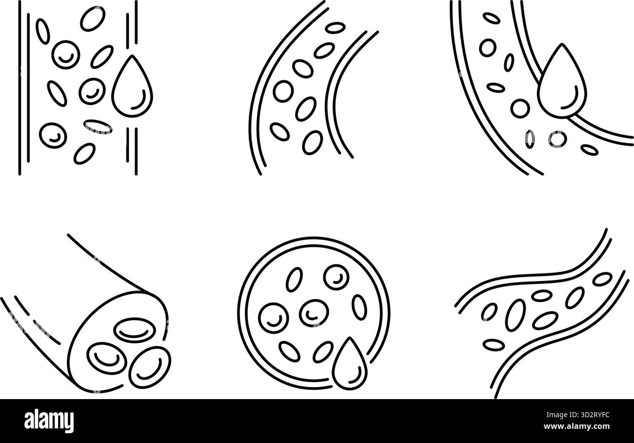 Blood vessel line icons set. Human artery and vein symbol. Blood ...