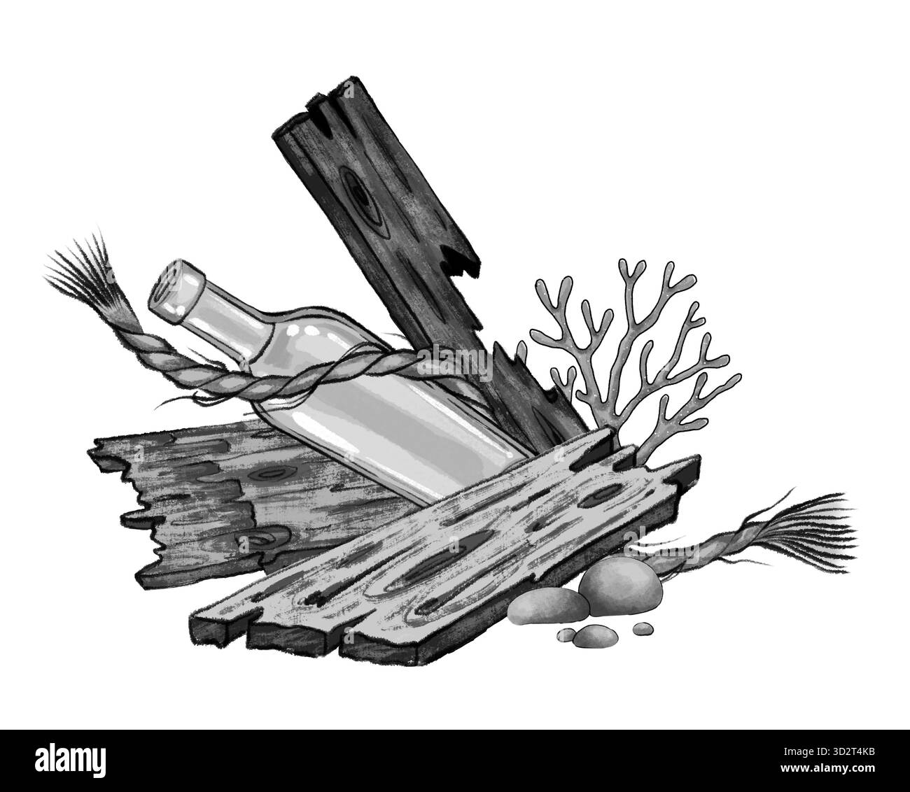 Detailed illustration of coral Black and White Stock Photos & Images ...
