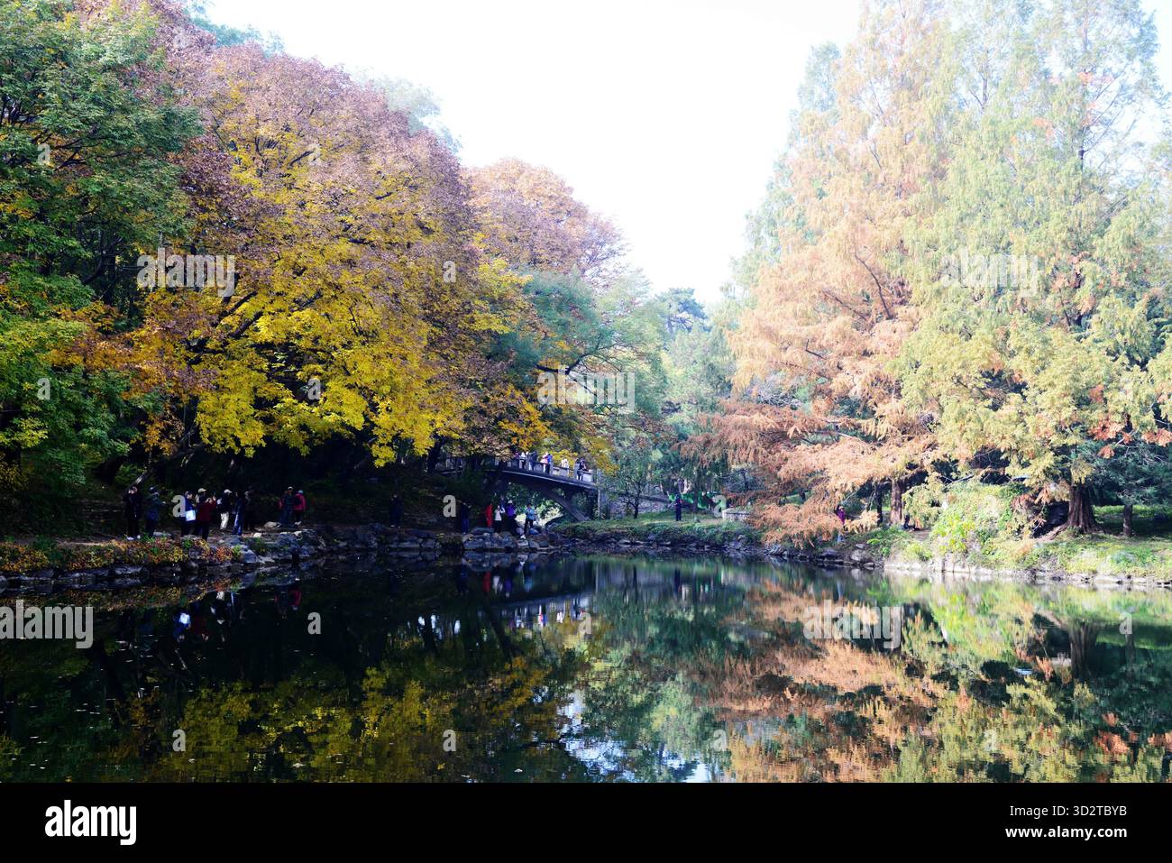 Tourists admire autumn scenery at the Summer Palace in Beijing, China ...
