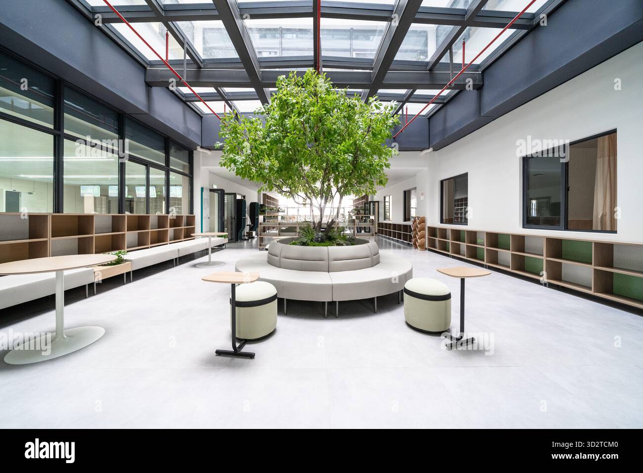 bright atrium with a large tree, modern seating, and glass roof ...