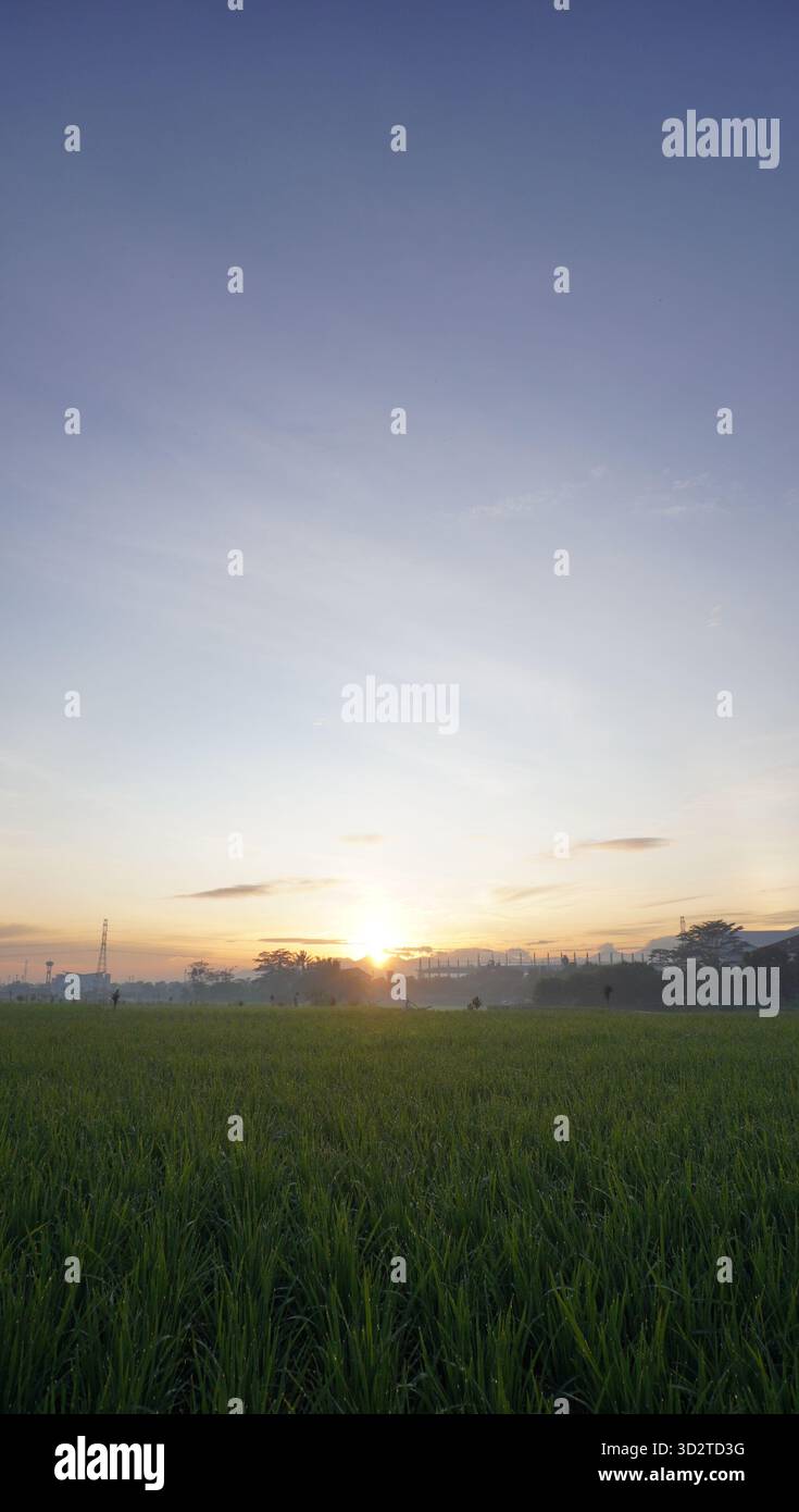 Sunrise on misty farmland hi-res stock photography and images - Alamy