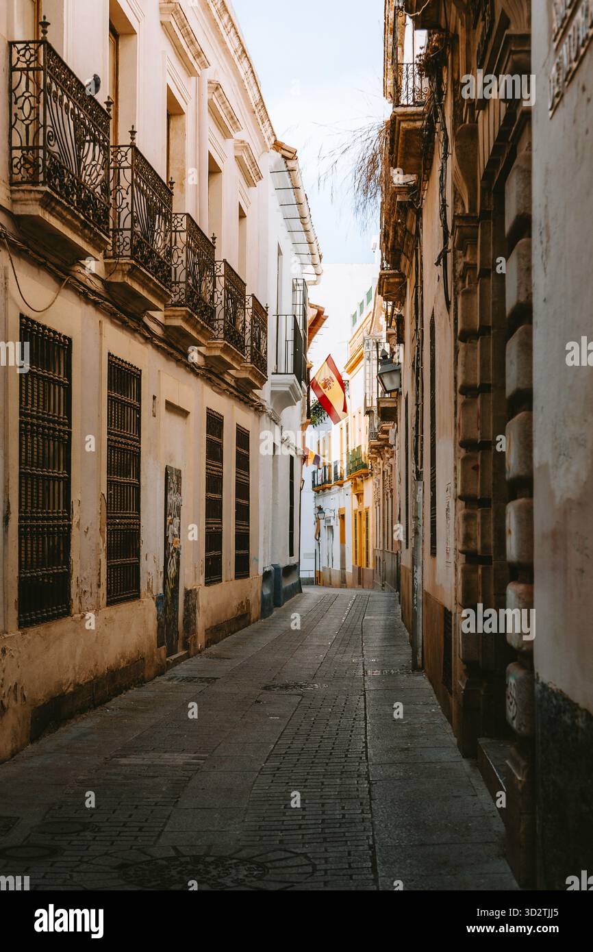 Ancient architecture lining a quiet, winding alleyway in Andalucia's ...