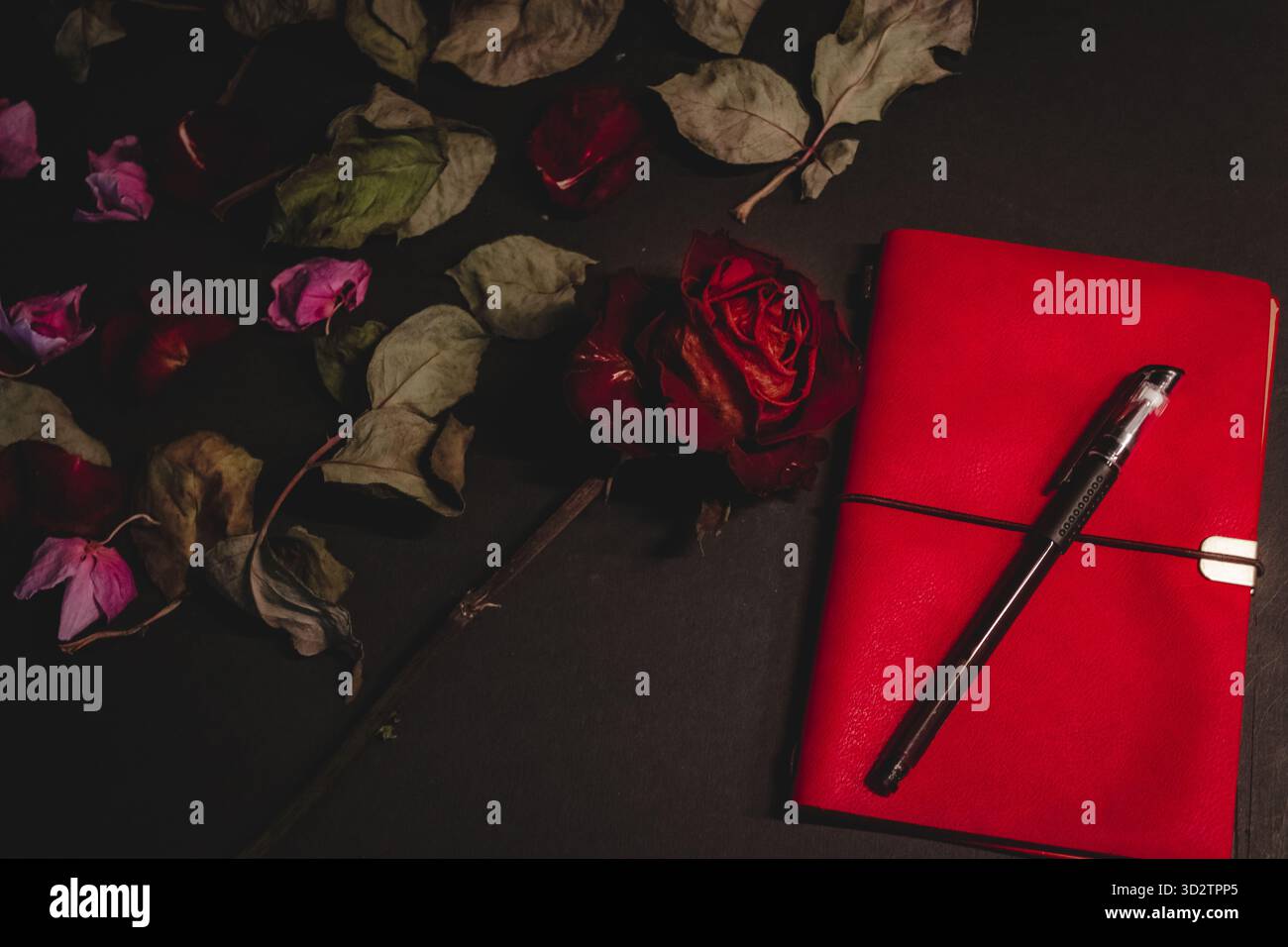 Dried red rose, notebook, pen symbolizing lost love Stock Photo - Alamy