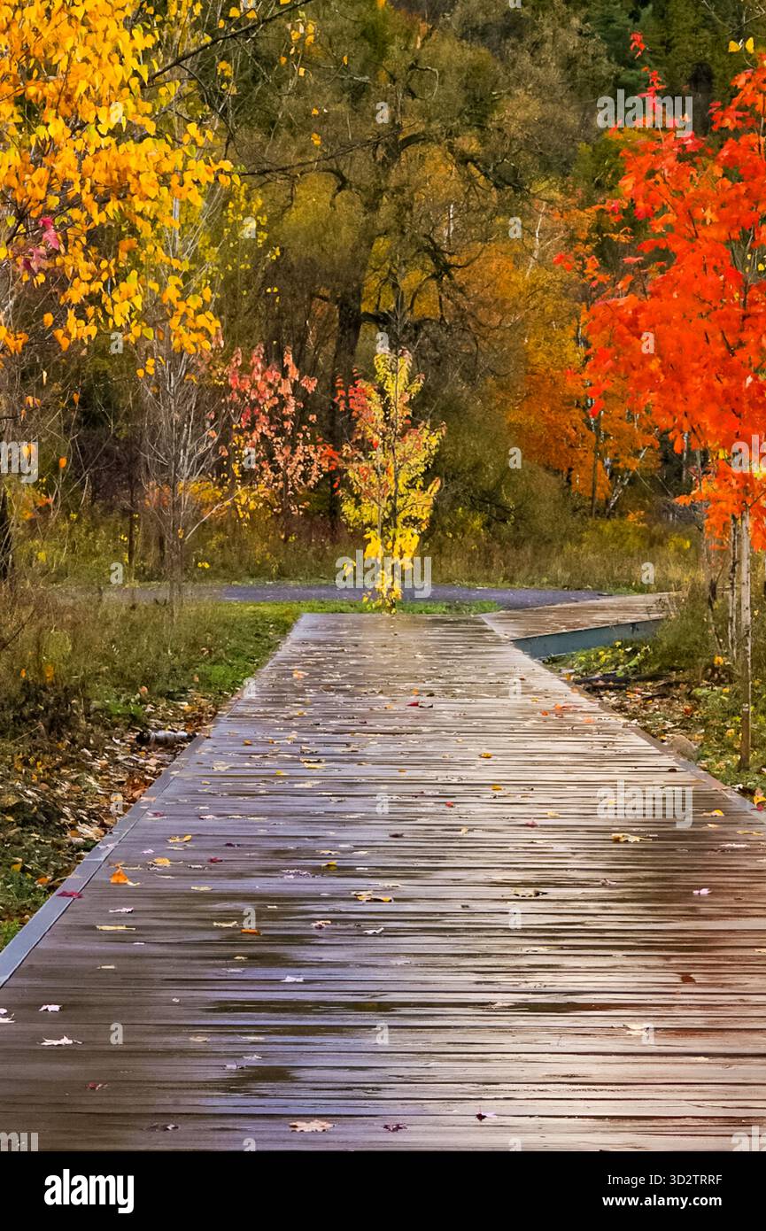 Open air walkway hi-res stock photography and images - Alamy