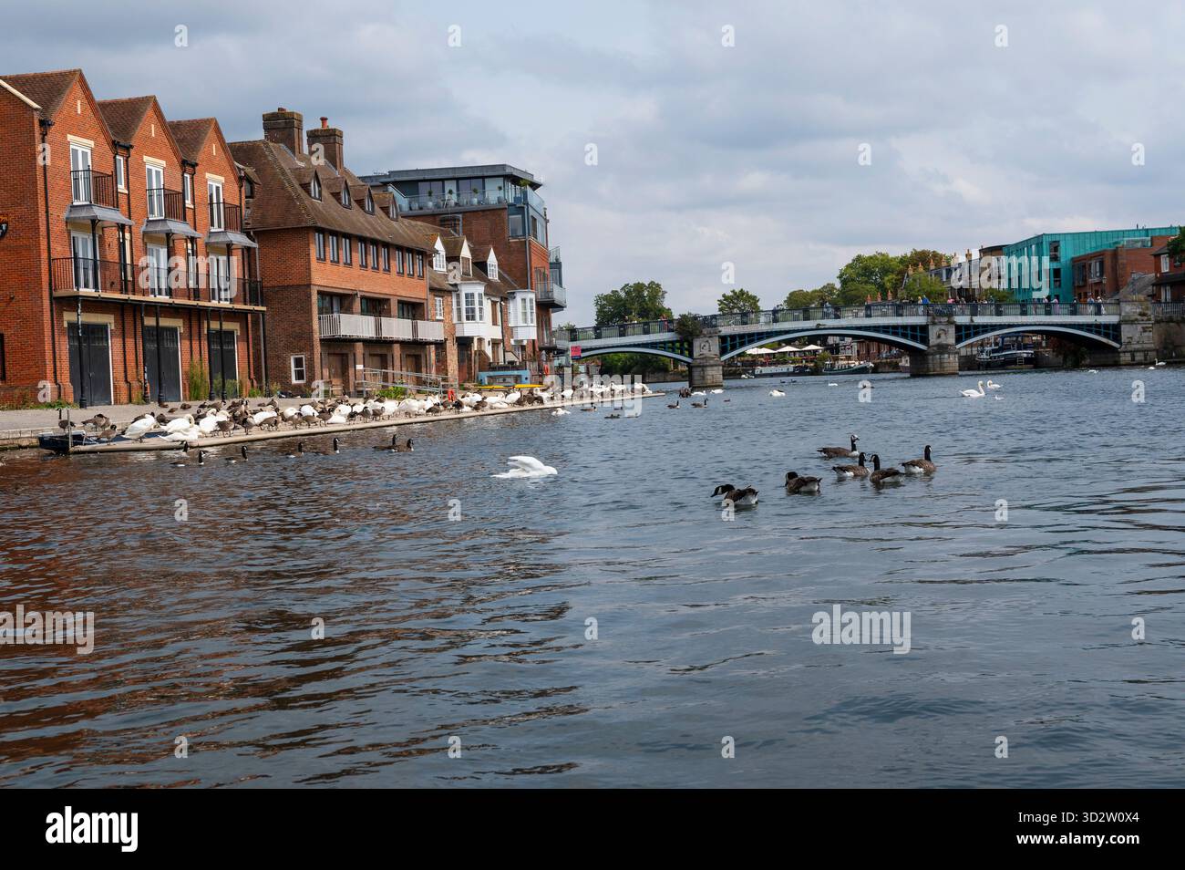 Windsor promenade hi-res stock photography and images - Alamy