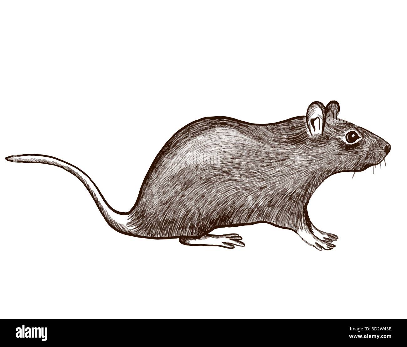 Mouse postcard Cut Out Stock Images & Pictures - Alamy