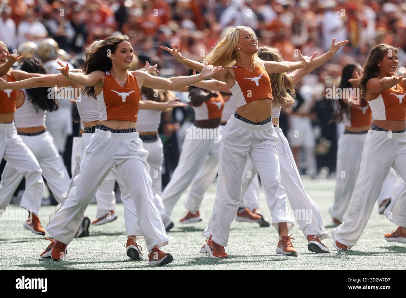 AUSTIN, TX - NOVEMBER 01: Texas pom members perform during the SEC ...