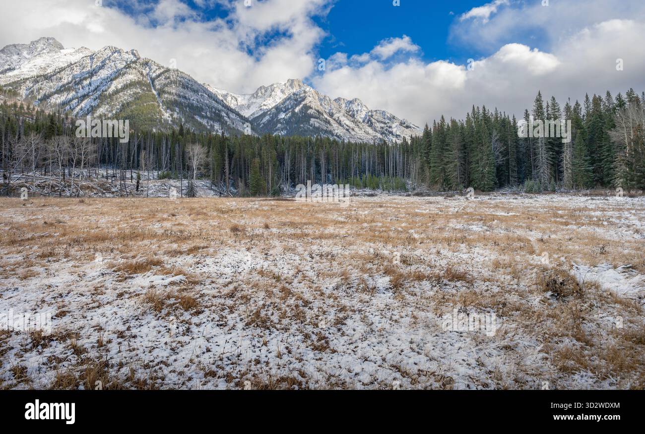 First snowfall on a mountain meadow in Banff National Park, Alberta ...