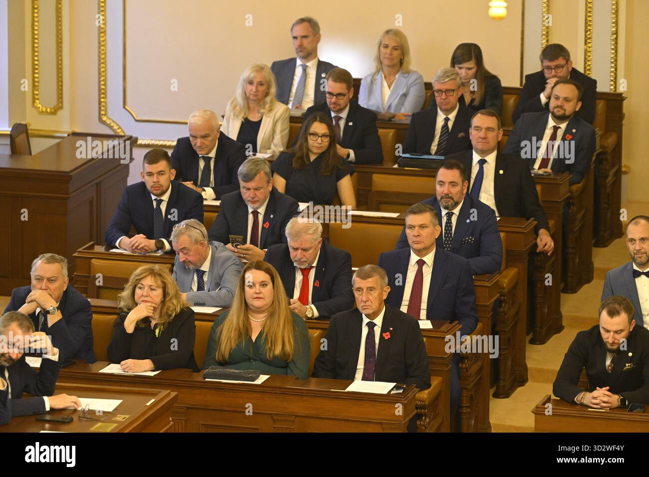 Lower house of parliament, the Chamber of Deputies, opened constituent ...