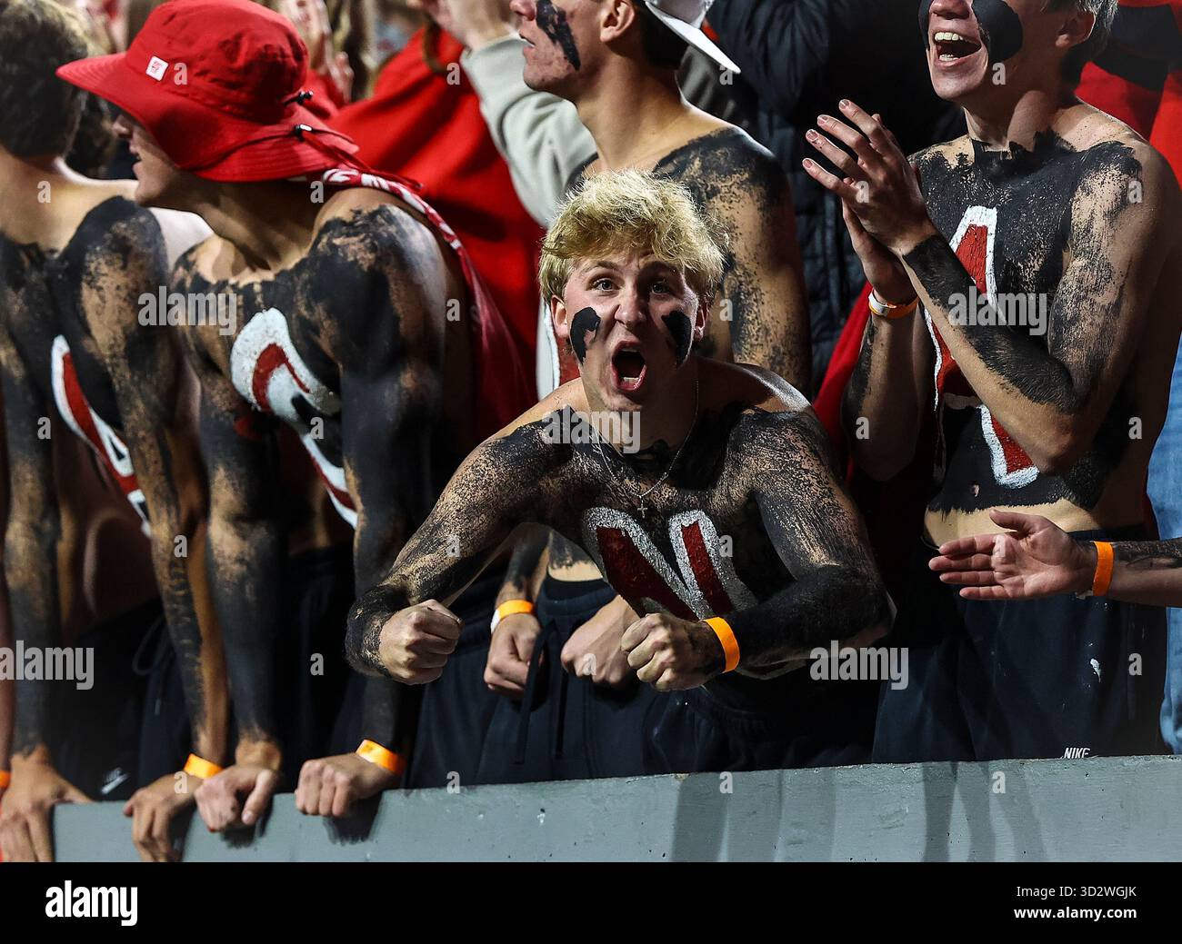 November 1, 2025: NC State fan. NCAA football game between Georgia Tech ...