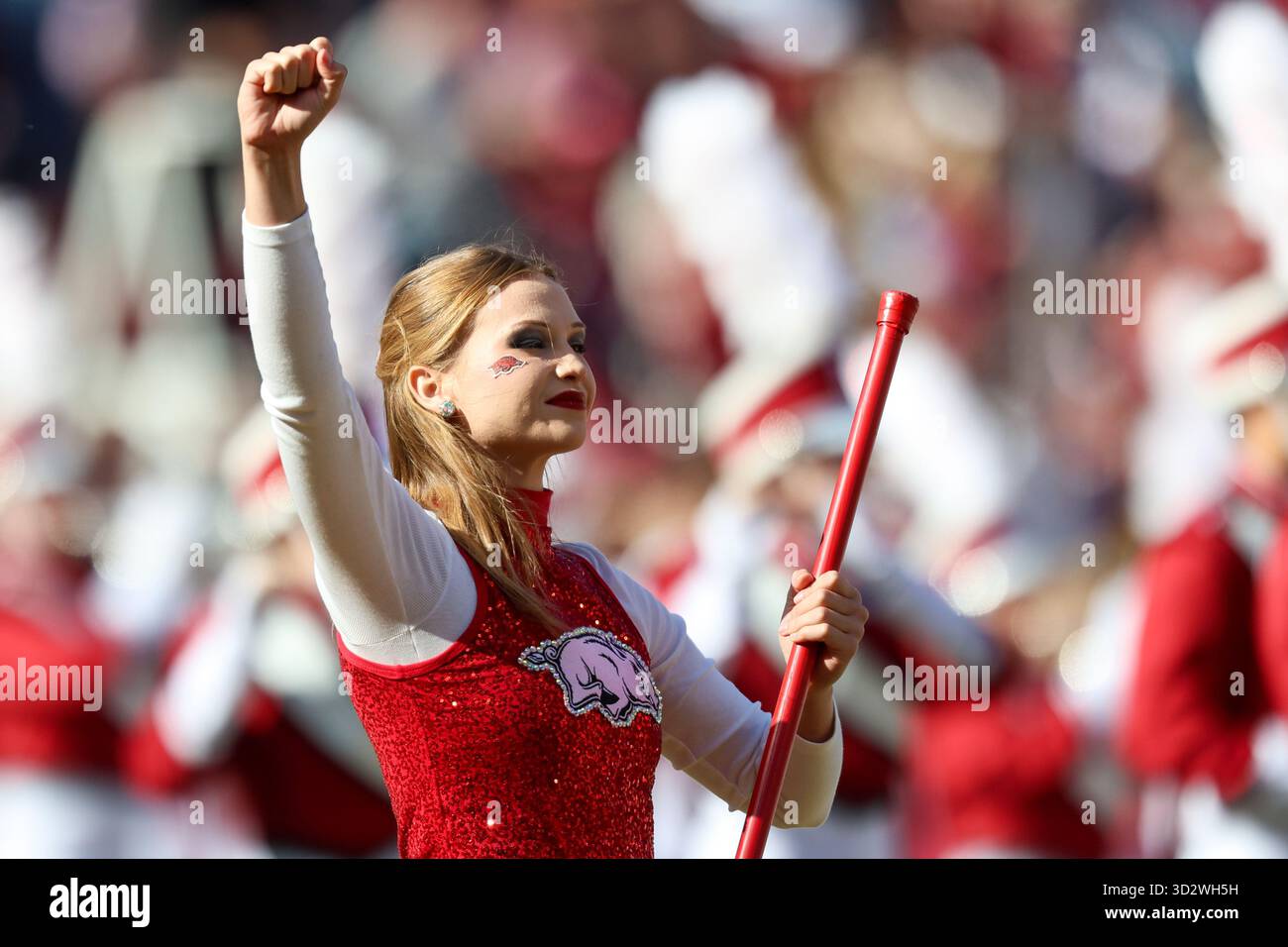 November 1, 2025: Razorback marching band member performs on the field ...