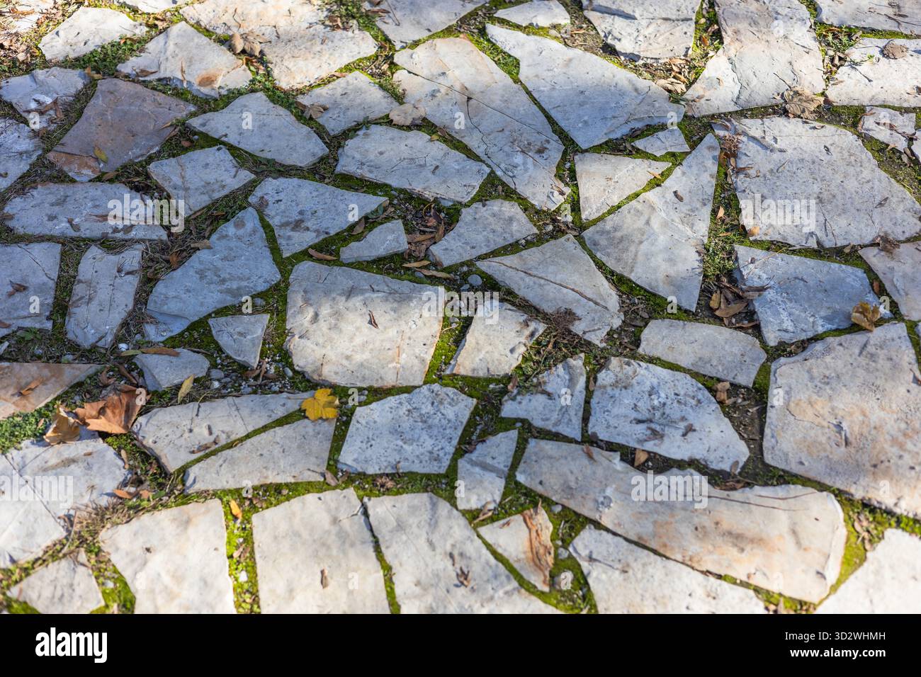 Overhead full frame view of an irregular stone paved path with green ...