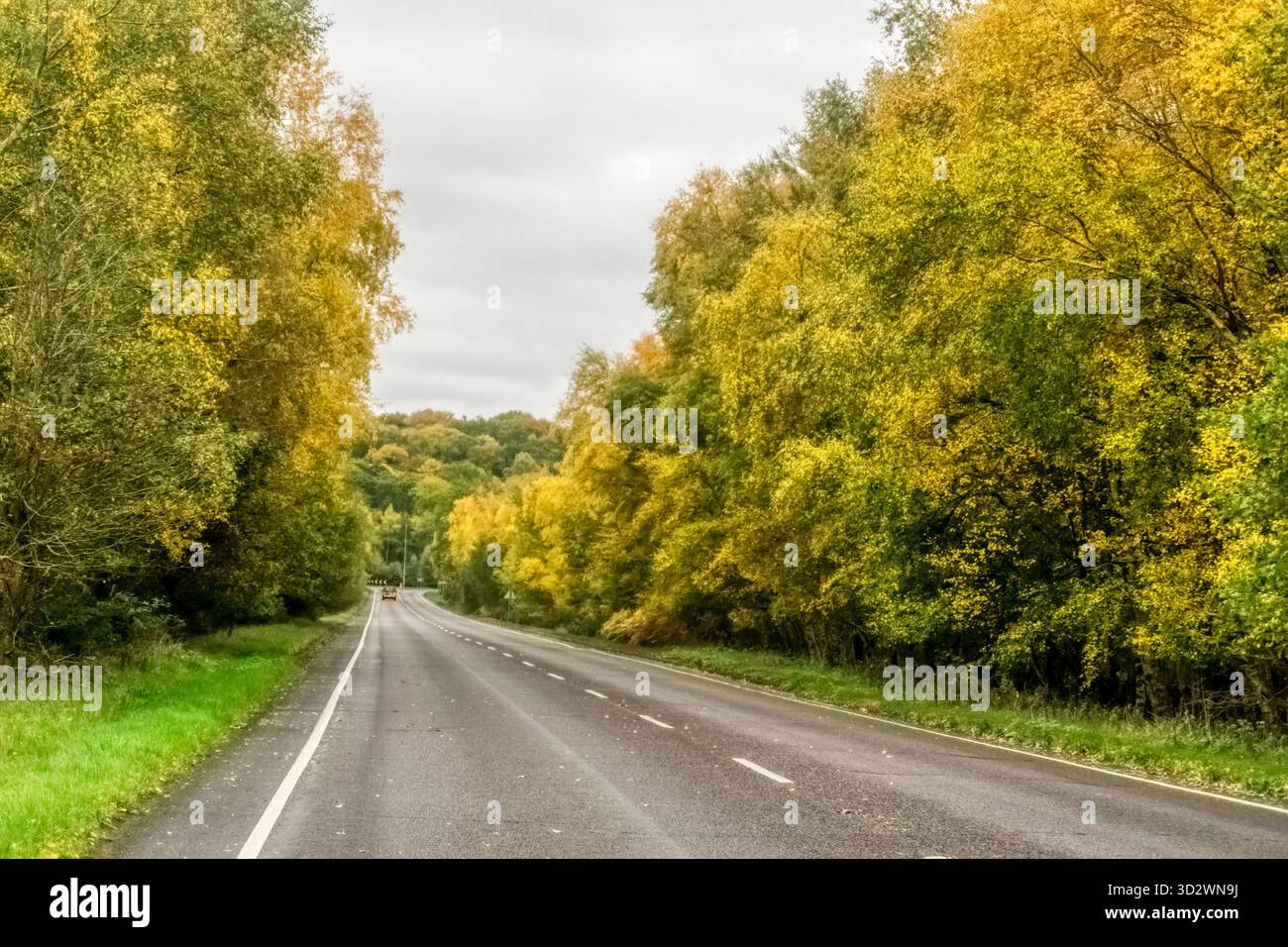 Autumn november 2025 hi-res stock photography and images - Alamy