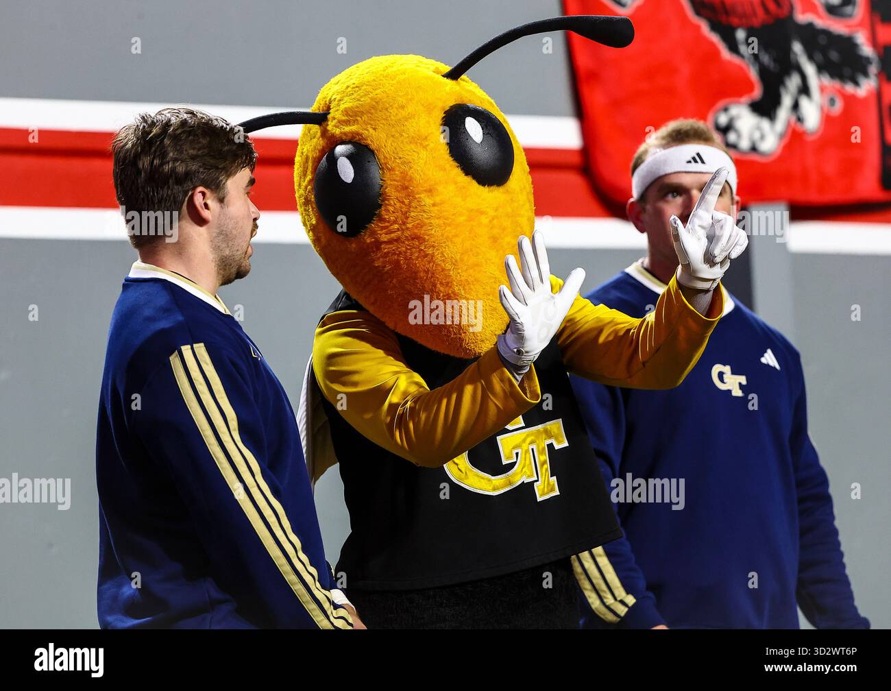 November 1, 2025: Georgia Tech mascot. NCAA football game between ...