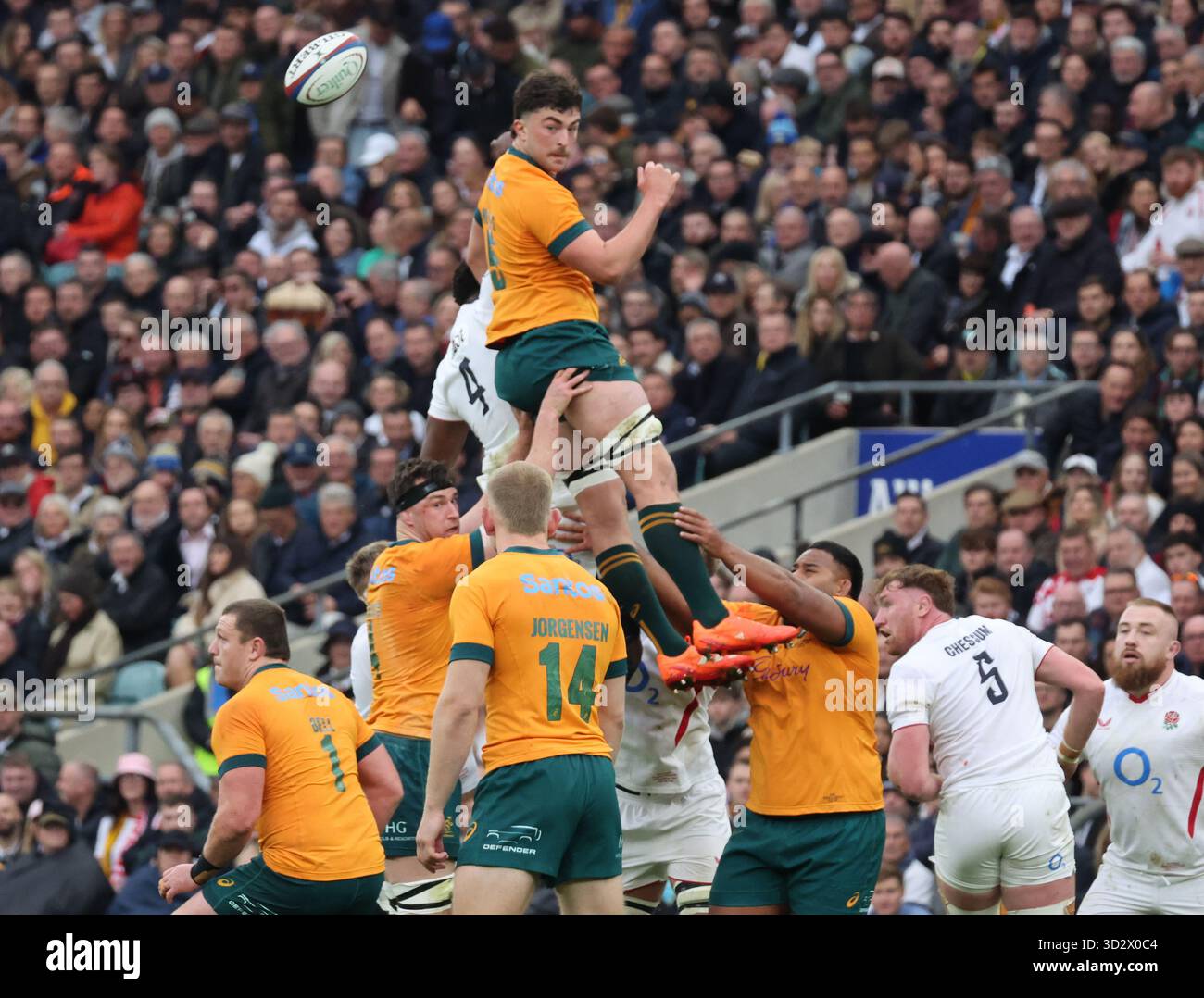 Australi's Jeremy Williams(Wahroonga Tigers) in action during Quilter ...